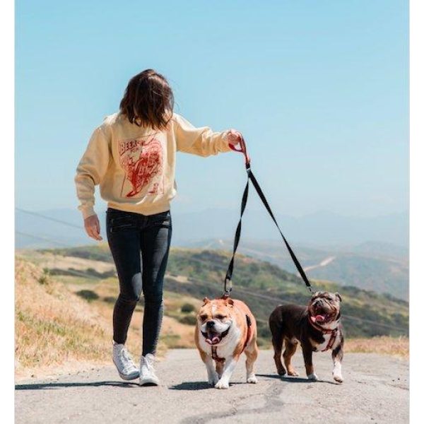Spiffy Dog Let 'Em Lead | Xtra Dog: Soft, Fleece Dog Harnesses, Spiffy ...